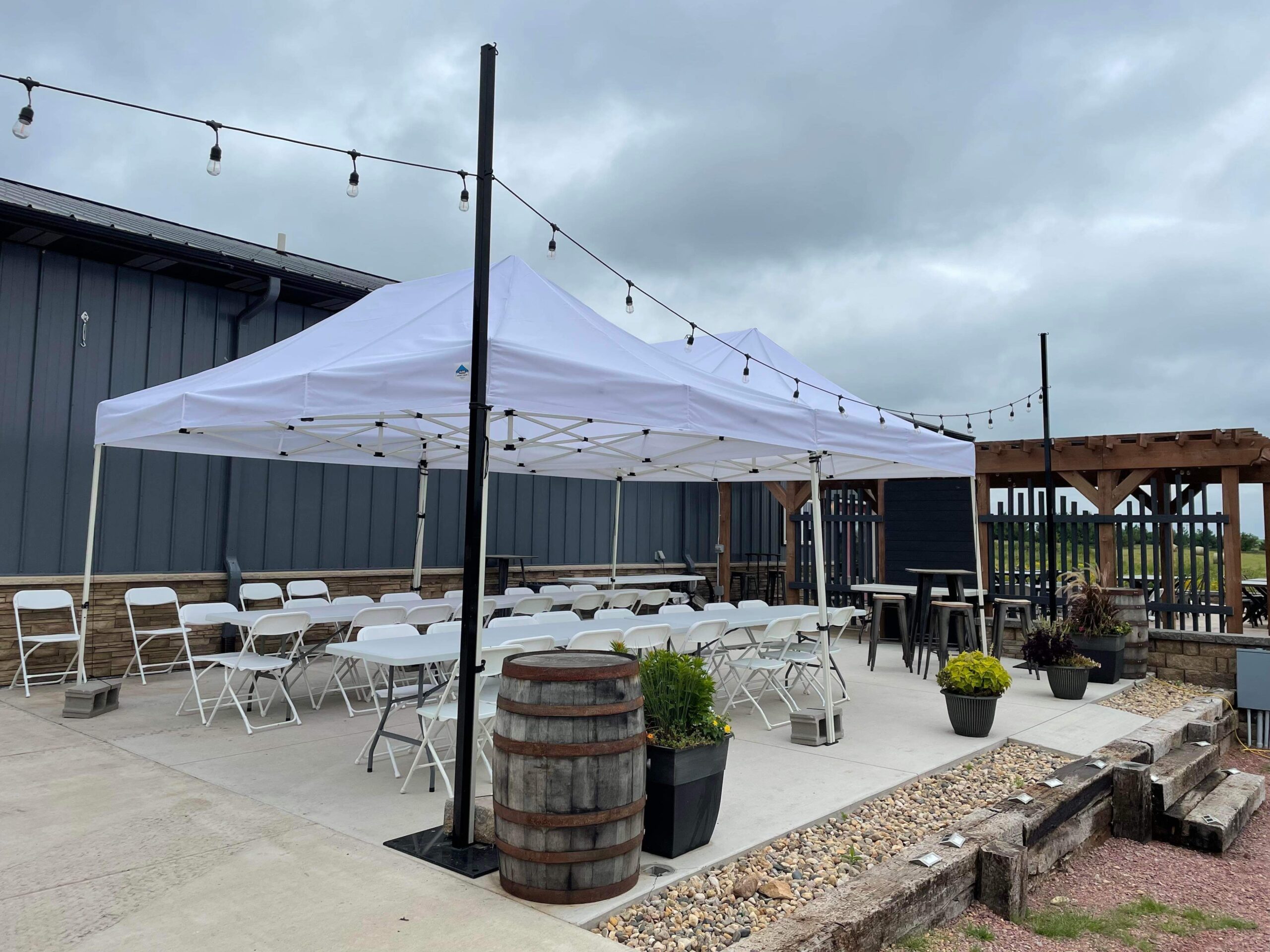 Interns - Painted Prairie Vineyard
