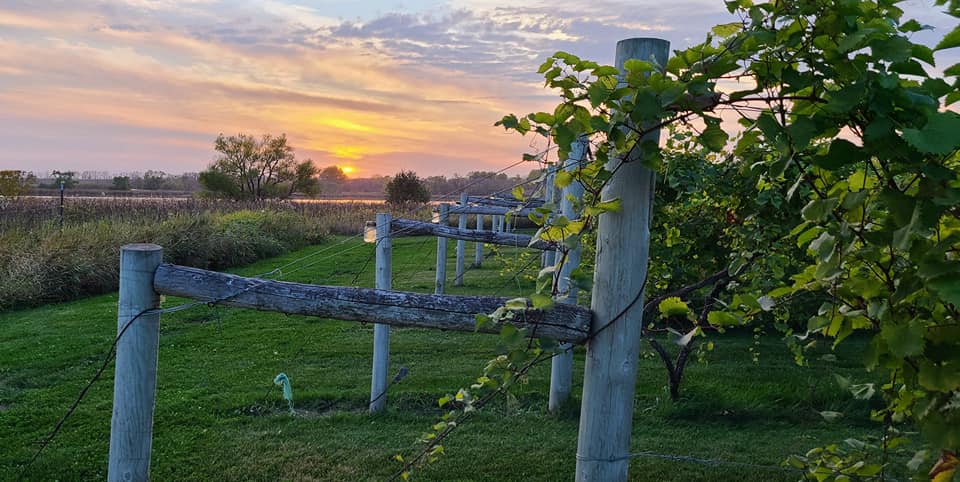 Grounds Care Team - Painted Prairie Vineyard