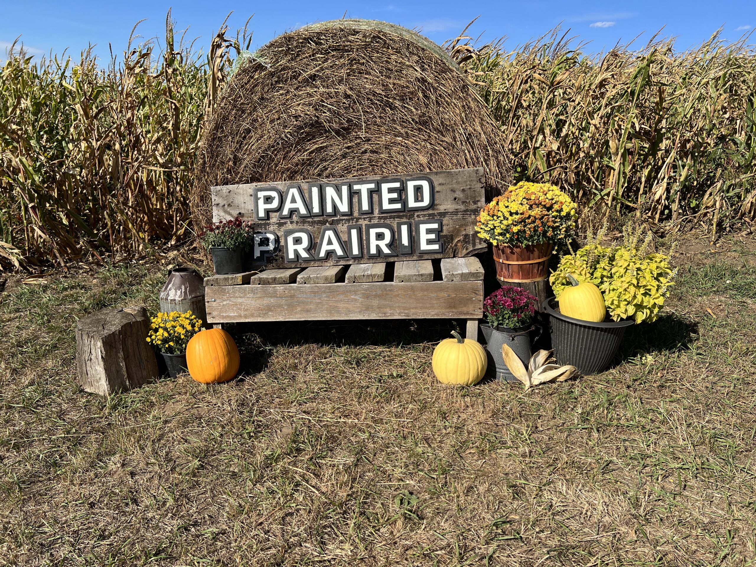 Corn Maze - Painted Prairie Vineyard