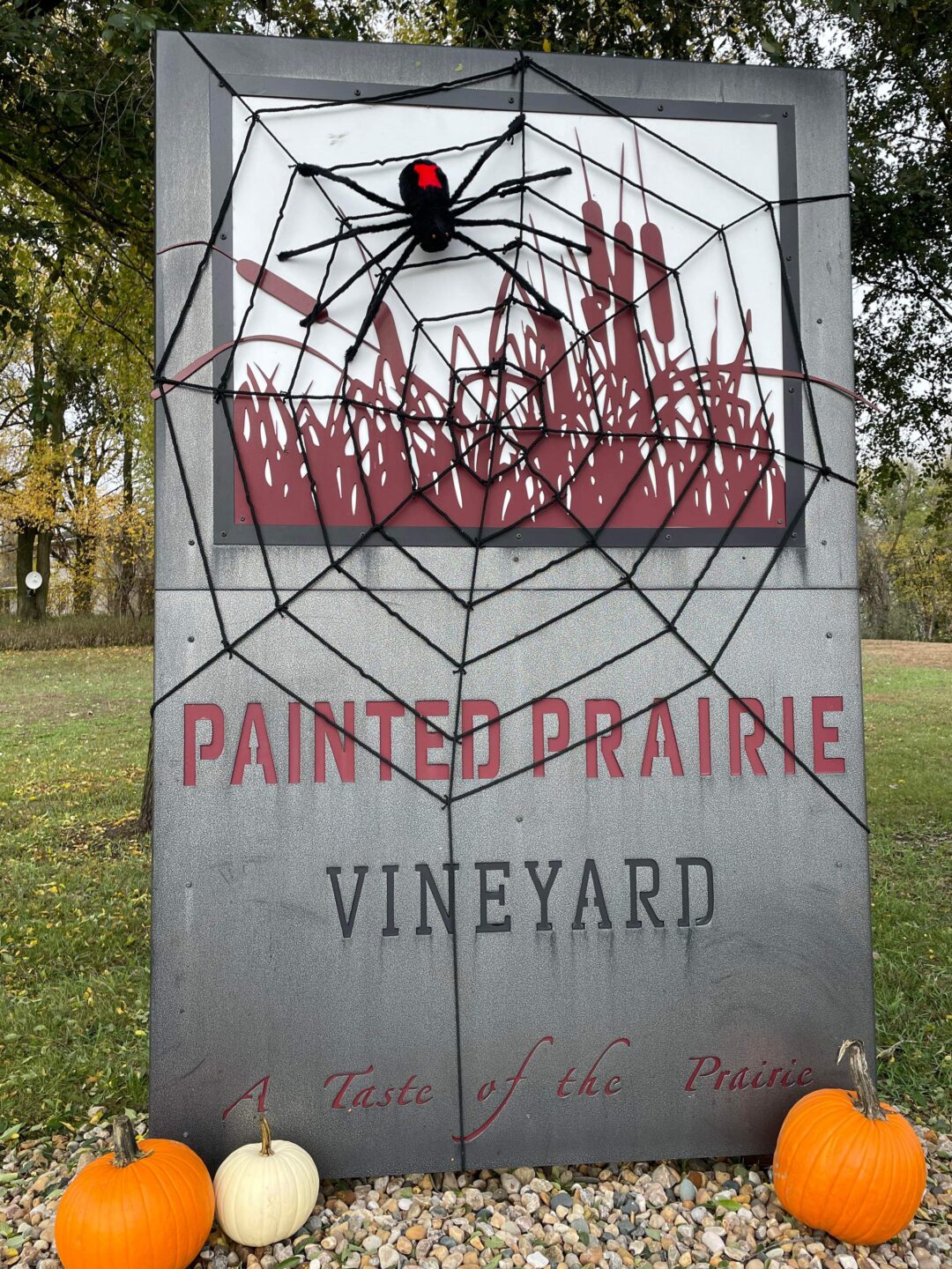 Corn Maze - Painted Prairie Vineyard
