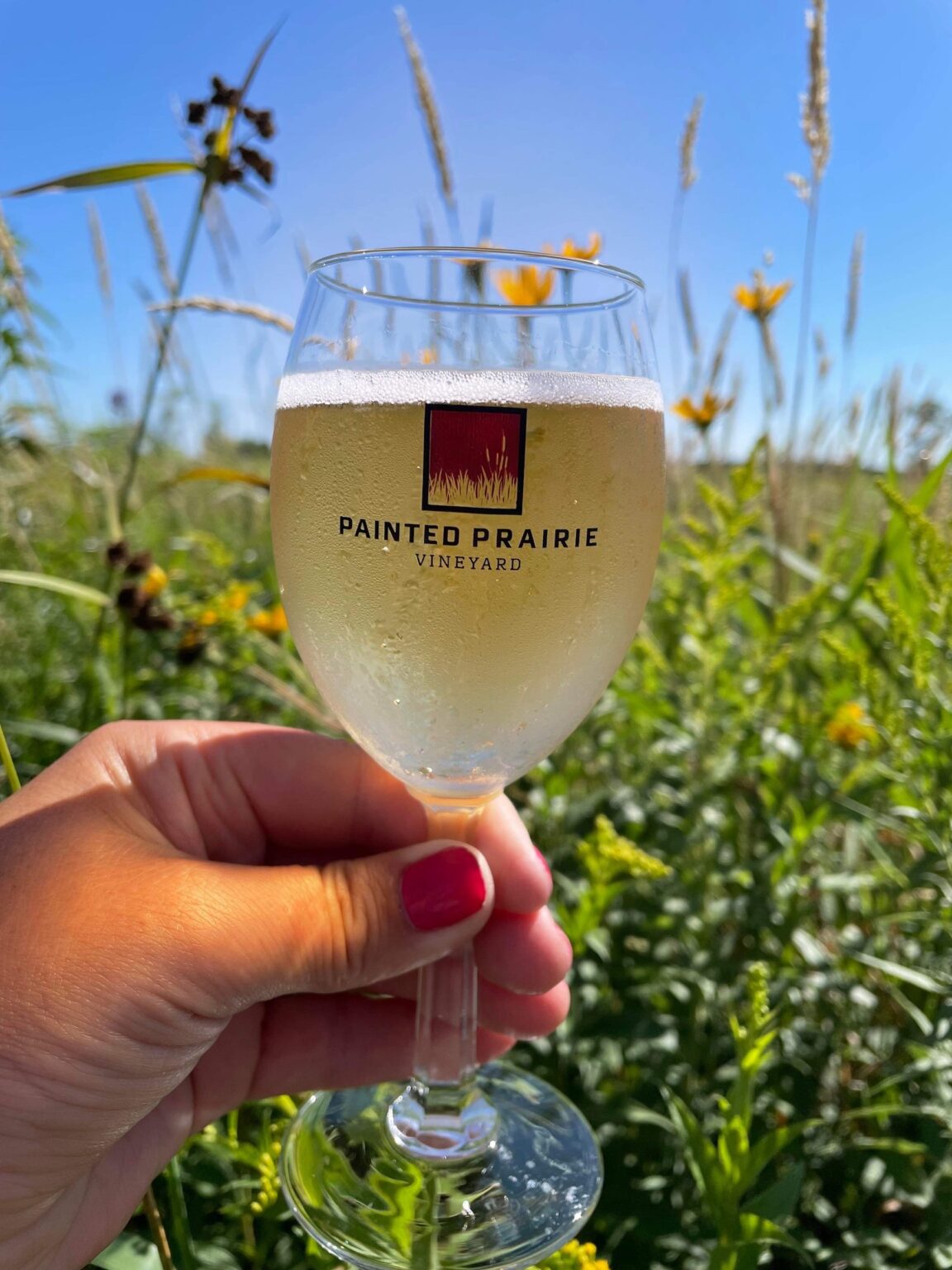 About - Painted Prairie Vineyard
